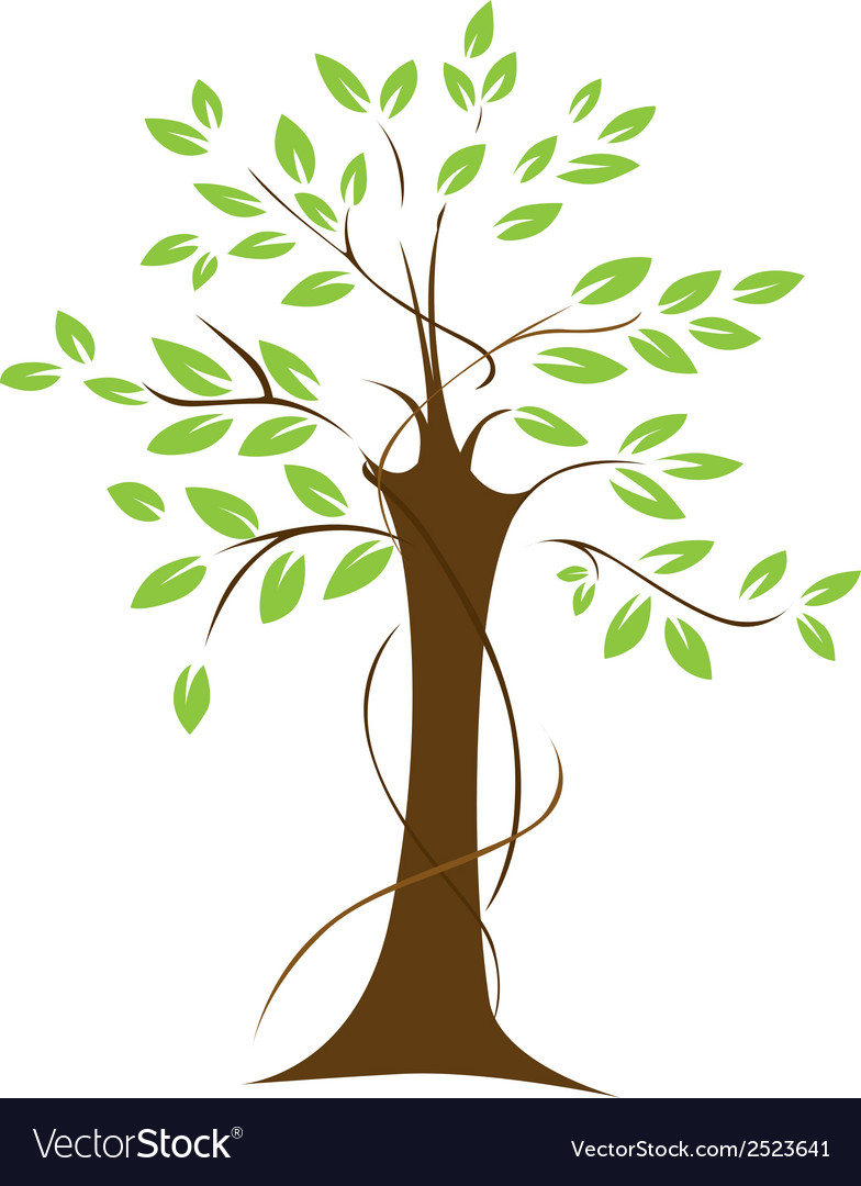 Abstract tree Royalty Free Vector Image - VectorStock