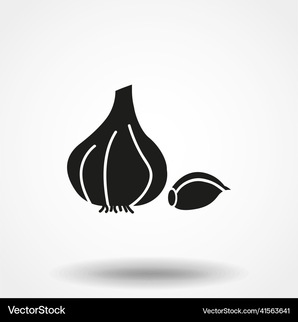 Garlic icon simple of icon for web Royalty Free Vector Image