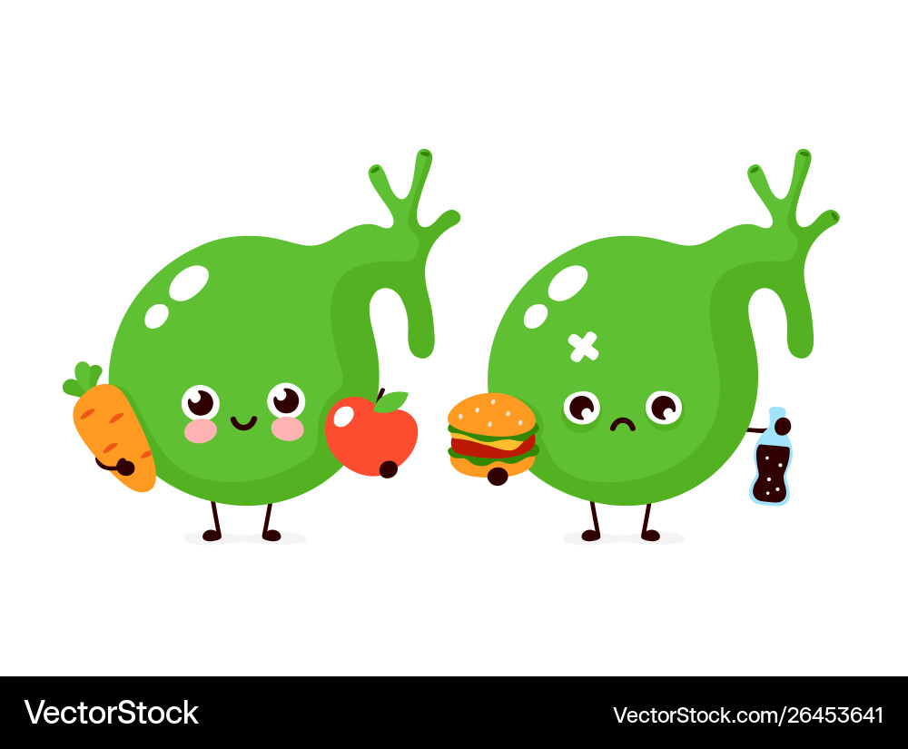 Sad sick and happy strong human gallbladder Vector Image