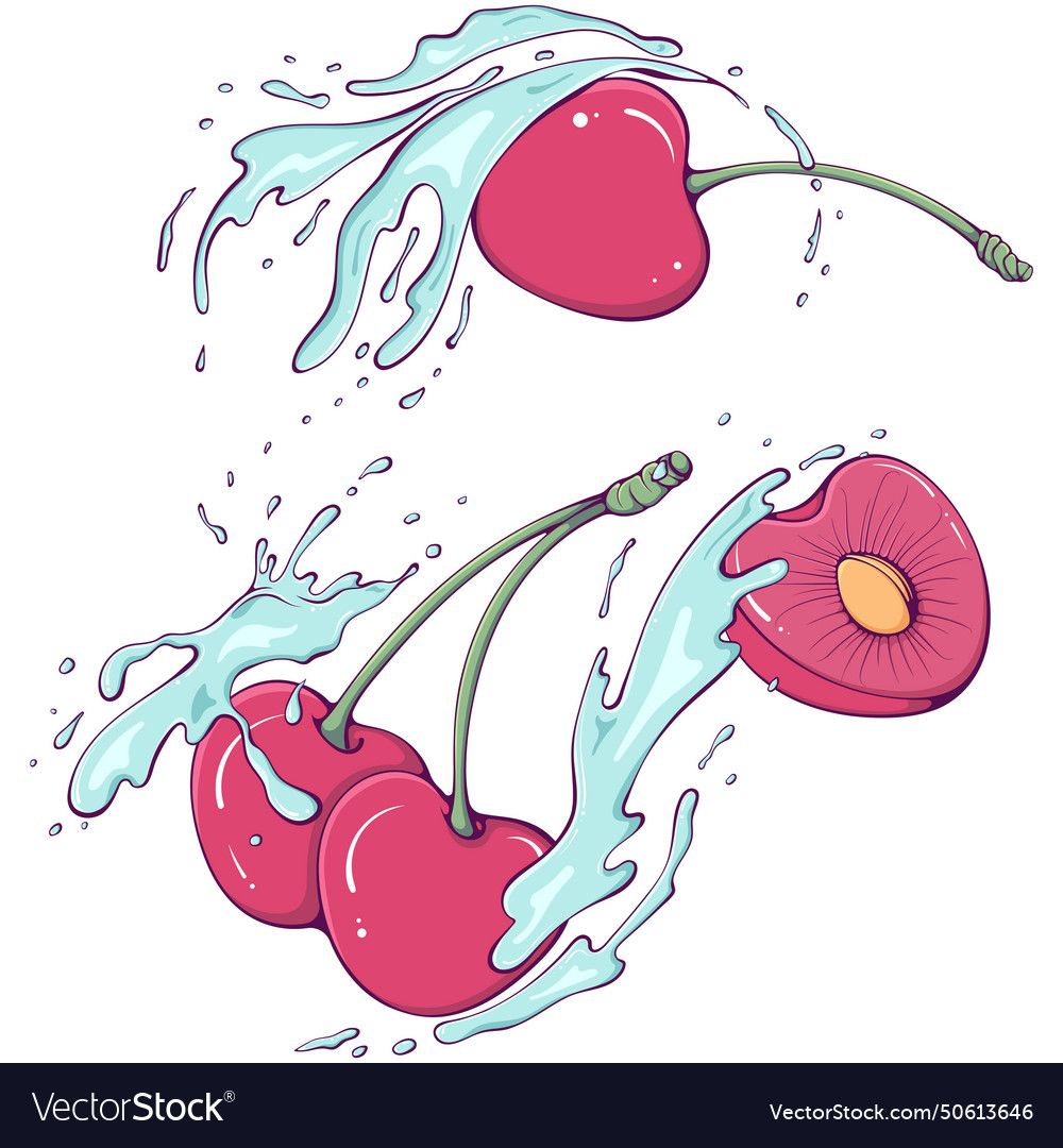Flying whole and half cherries with splash color Vector Image