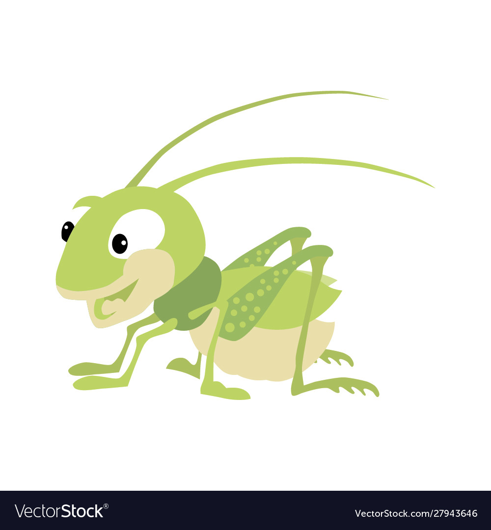 Grasshopper Royalty Free Vector Image - VectorStock