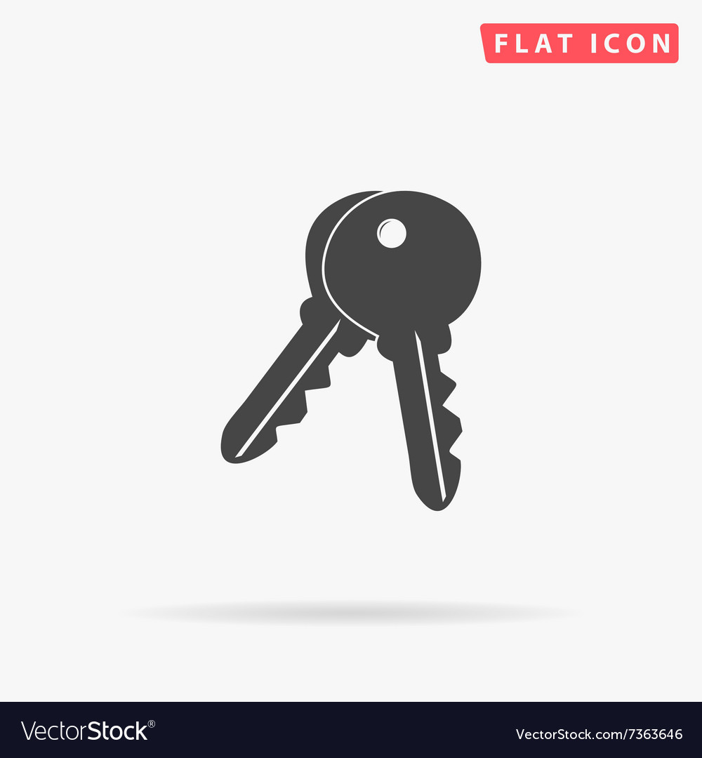 Keys simple flat icon Royalty Free Vector Image