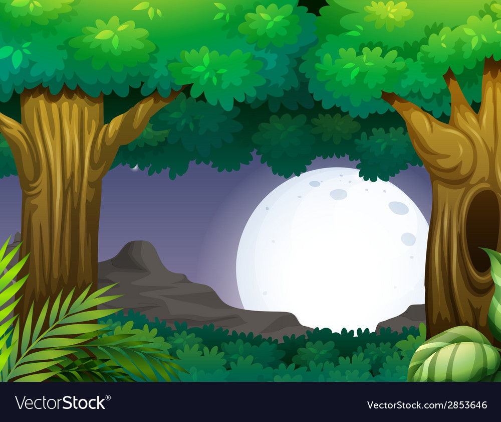 Night time Royalty Free Vector Image - VectorStock