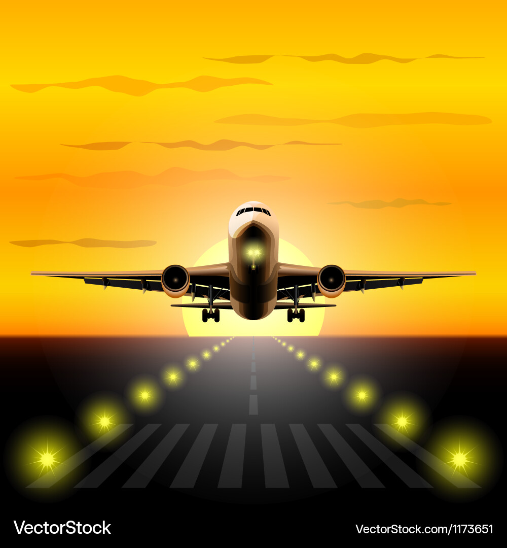 Airliner landing at sunset Royalty Free Vector Image