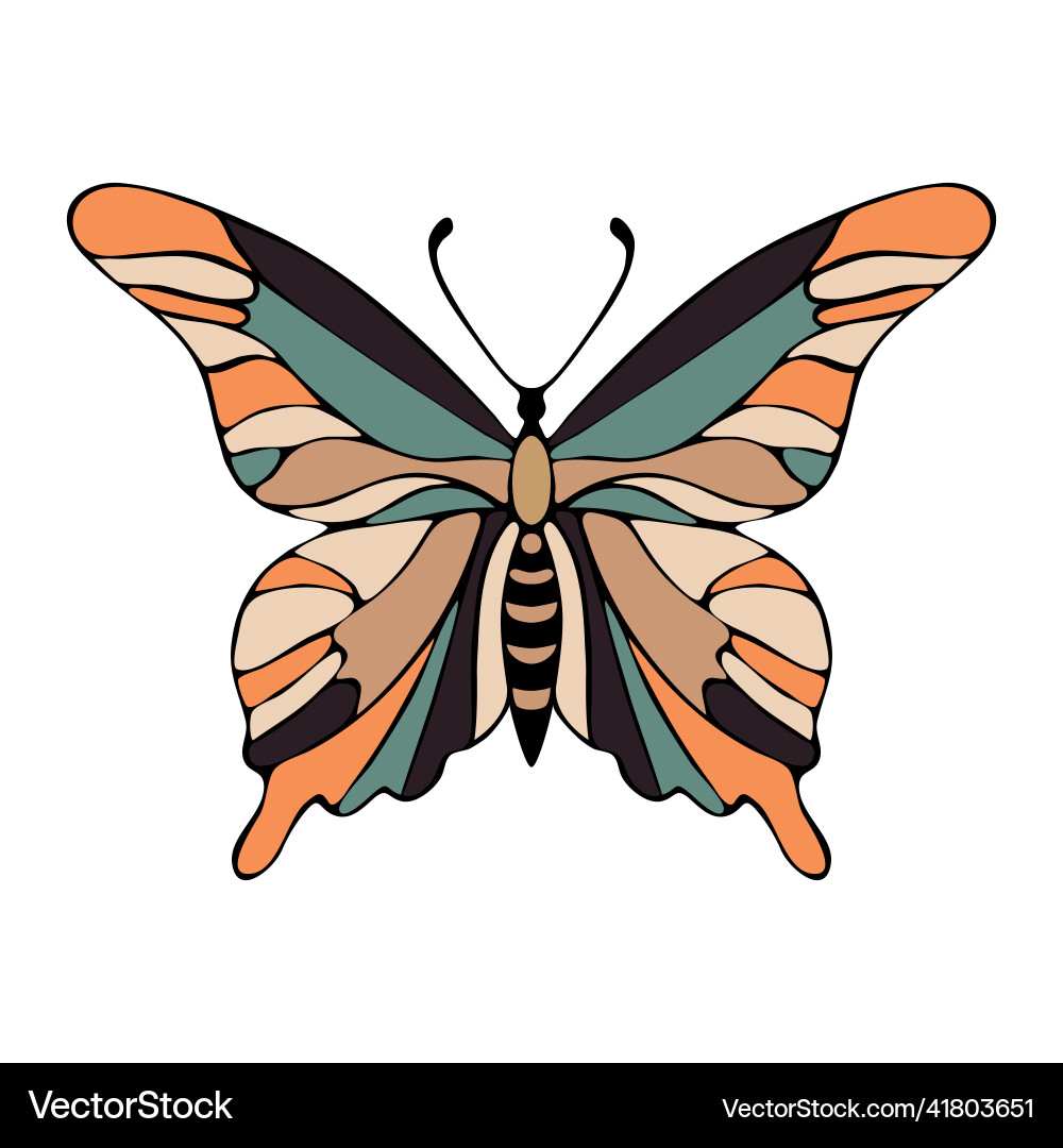 Butterfly contour hand drawing painted colored Vector Image