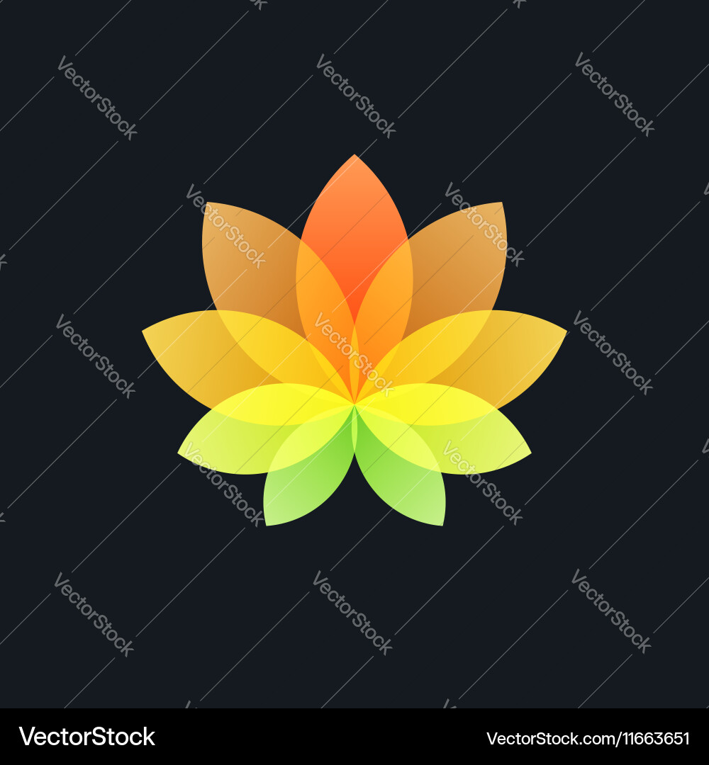 Colorful translucent flower on black background Vector Image