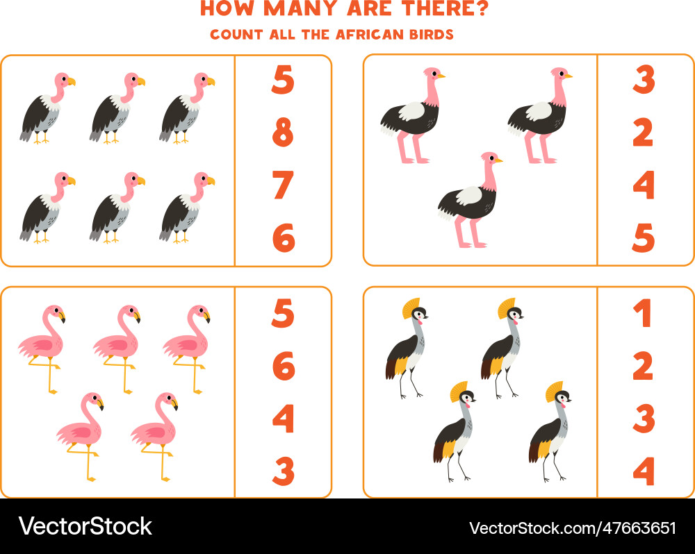 Counting game with cute african birds educational Vector Image