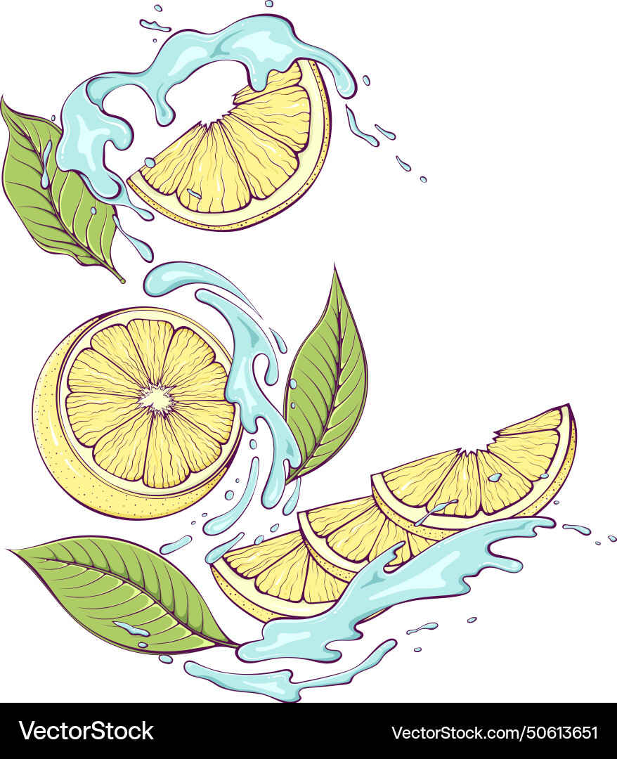 Flying lemon slices with splash color Royalty Free Vector