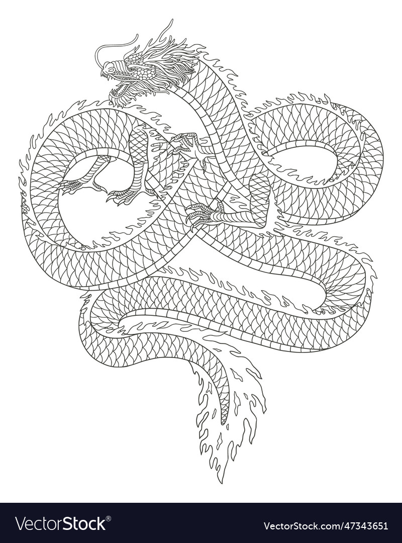 Line art of japanese dragon isolated on white back