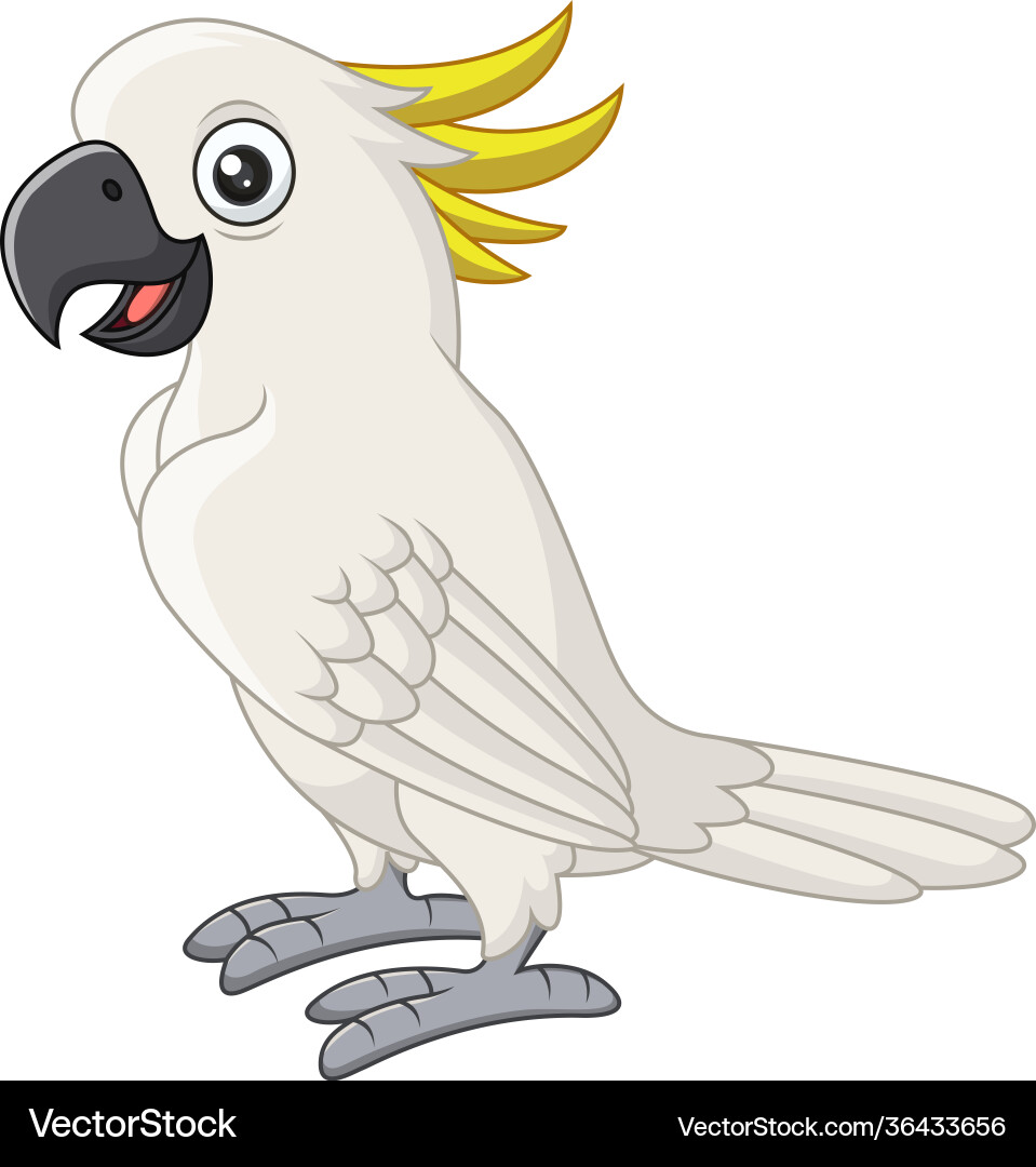 Cartoon white cockatoo on white background Vector Image