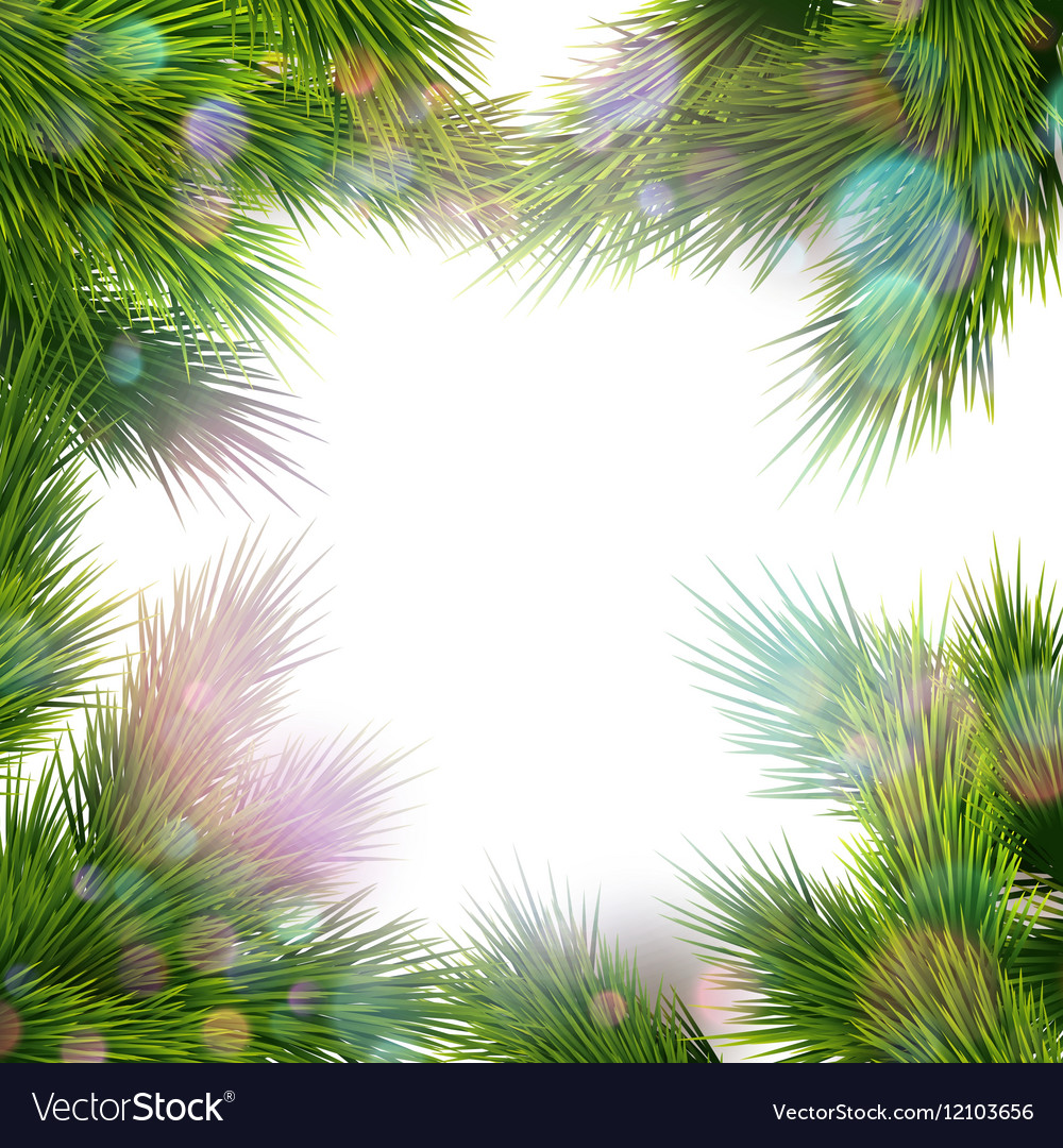 Frame of tree branches EPS 10 Royalty Free Vector Image