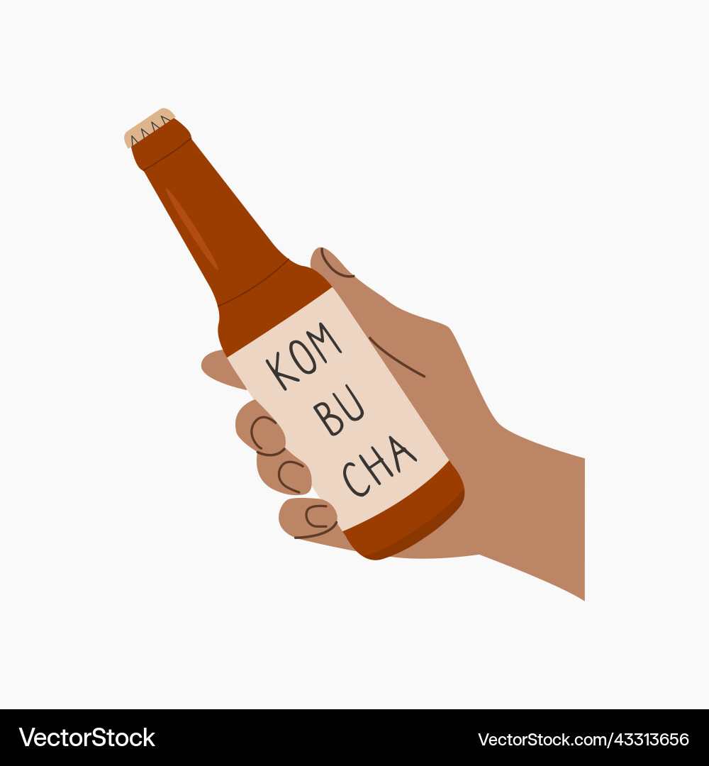 Kombucha fermented drink in hand african black Vector Image