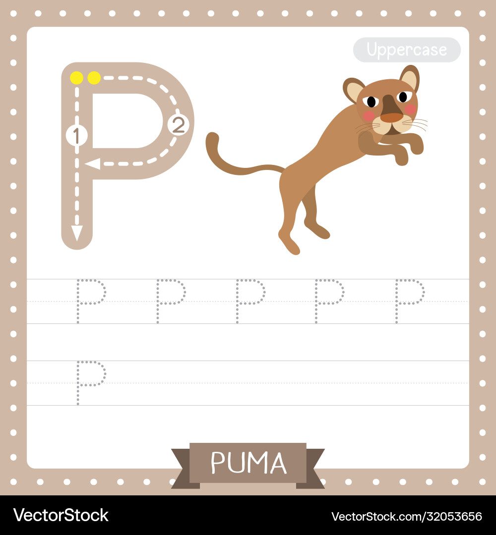 Letter p uppercase tracing practice worksheet Vector Image