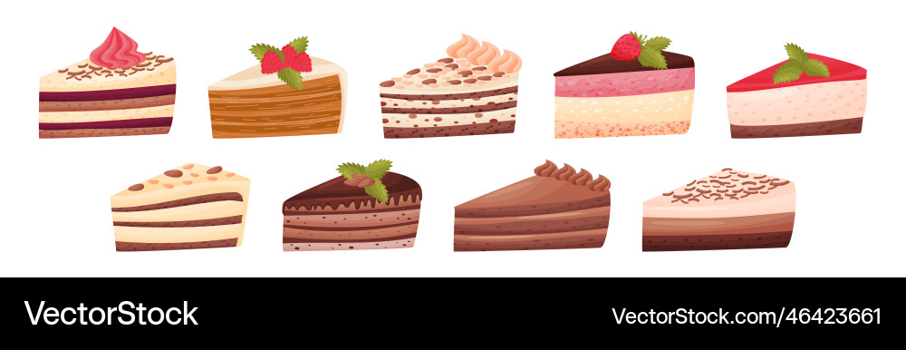 Cake pieces with creamy layer as yummy dessert Vector Image