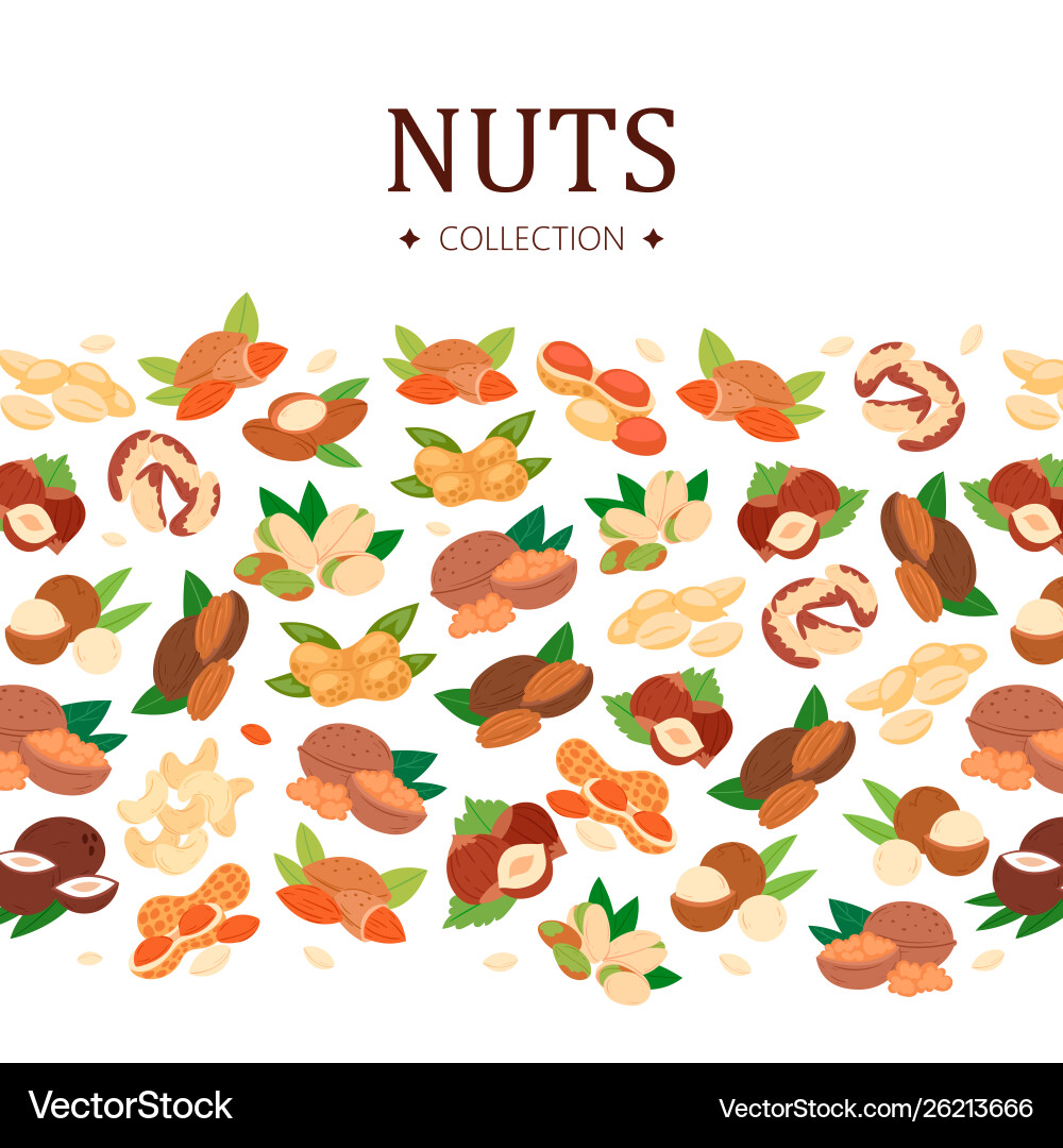Nuts collection poster flat cartoon banner Vector Image
