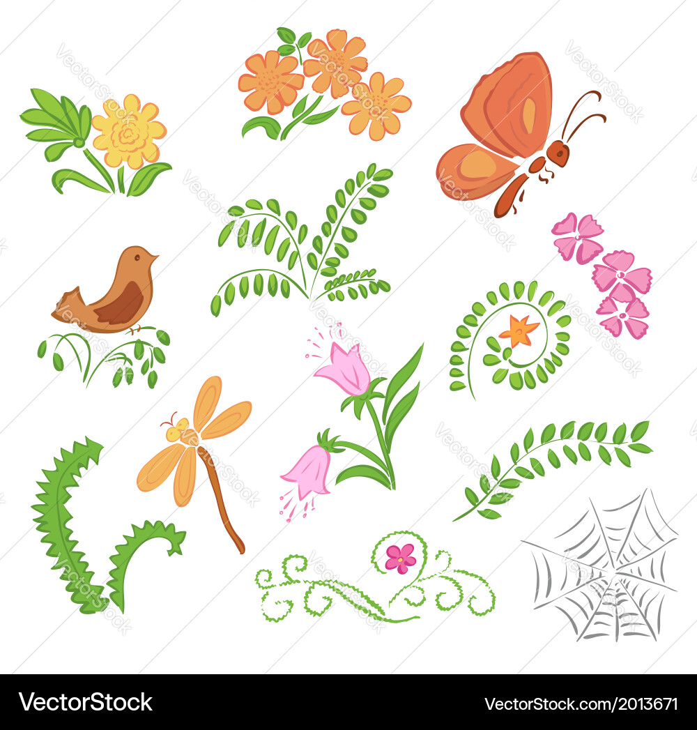 Elements of flora and fauna Royalty Free Vector Image
