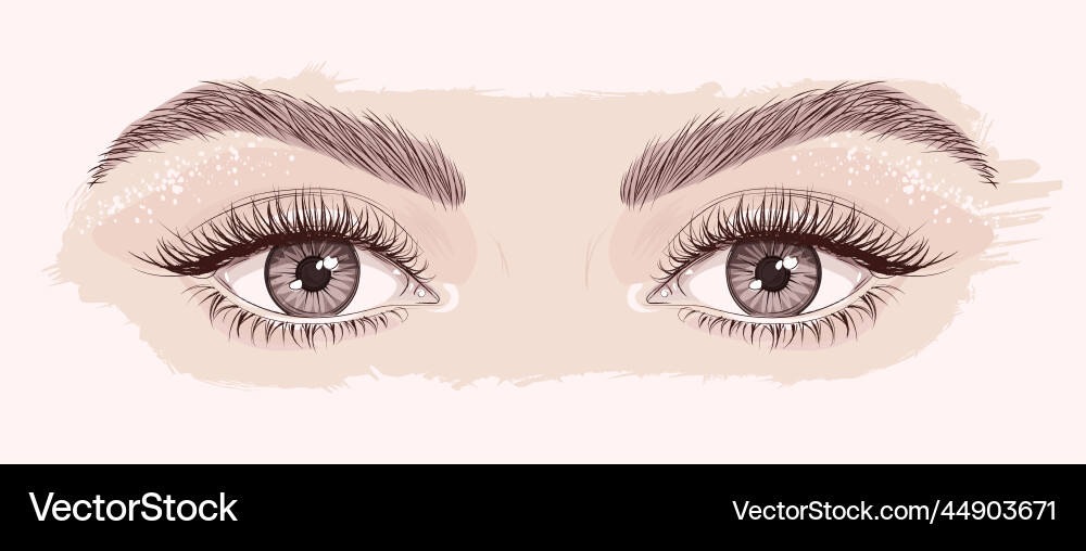 Hand drawn beautiful female eyes Royalty Free Vector Image