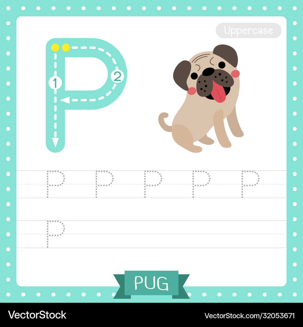 Letter p uppercase tracing practice worksheet Vector Image