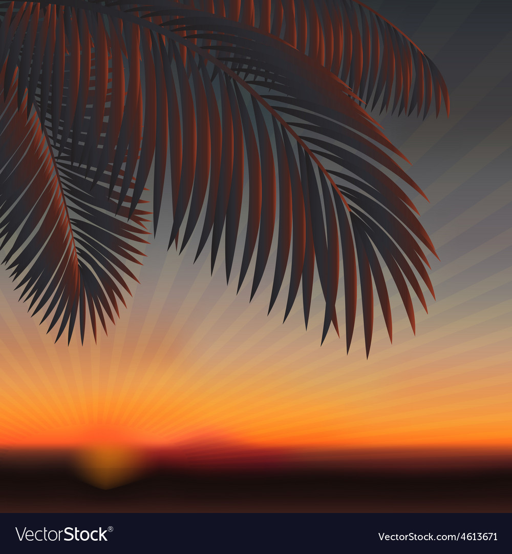 Sunset Royalty Free Vector Image - VectorStock