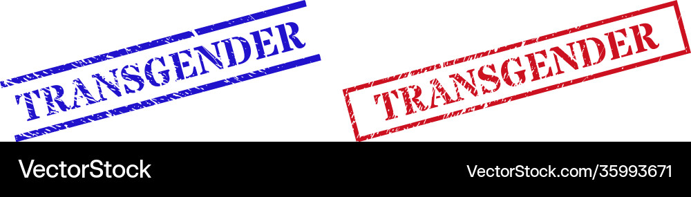 Transgender textured scratched stamp watermarks Vector Image