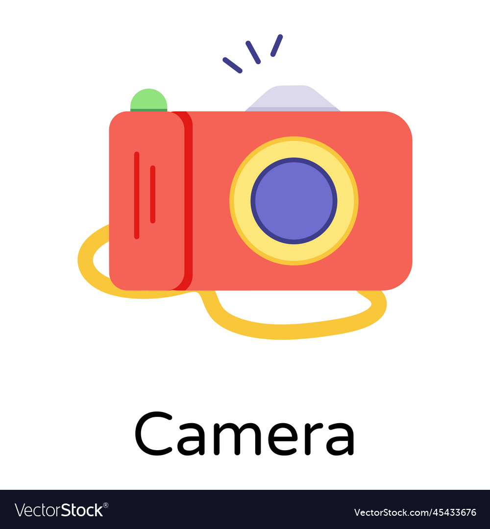Camera Royalty Free Vector Image - VectorStock