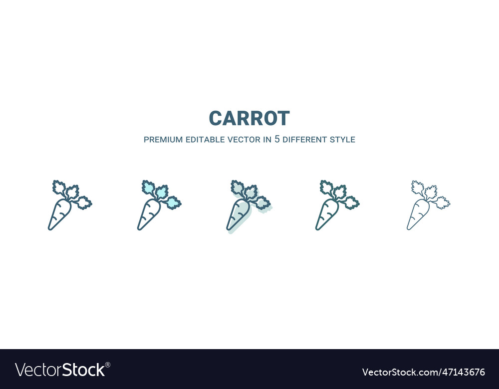 Carrot icon in 5 different style outline filled Vector Image