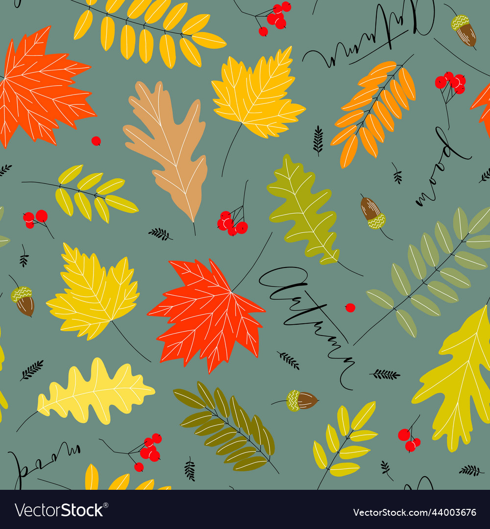 Falling autumn leaves berries acorns and thin Vector Image