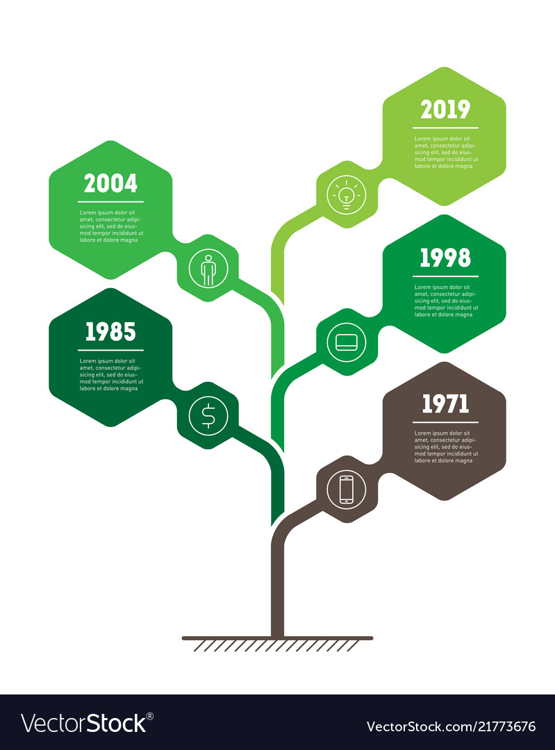 Vertical timeline infographics development Vector Image