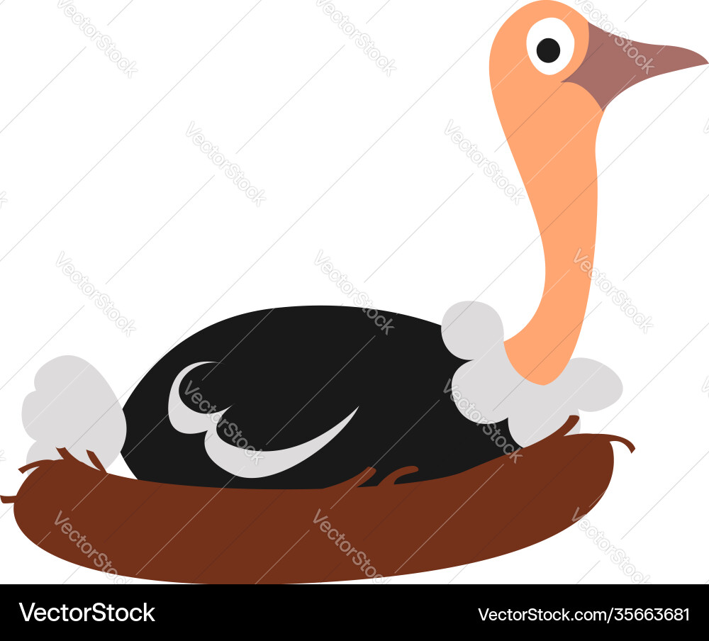 Ostrich in its nest on white background Royalty Free Vector
