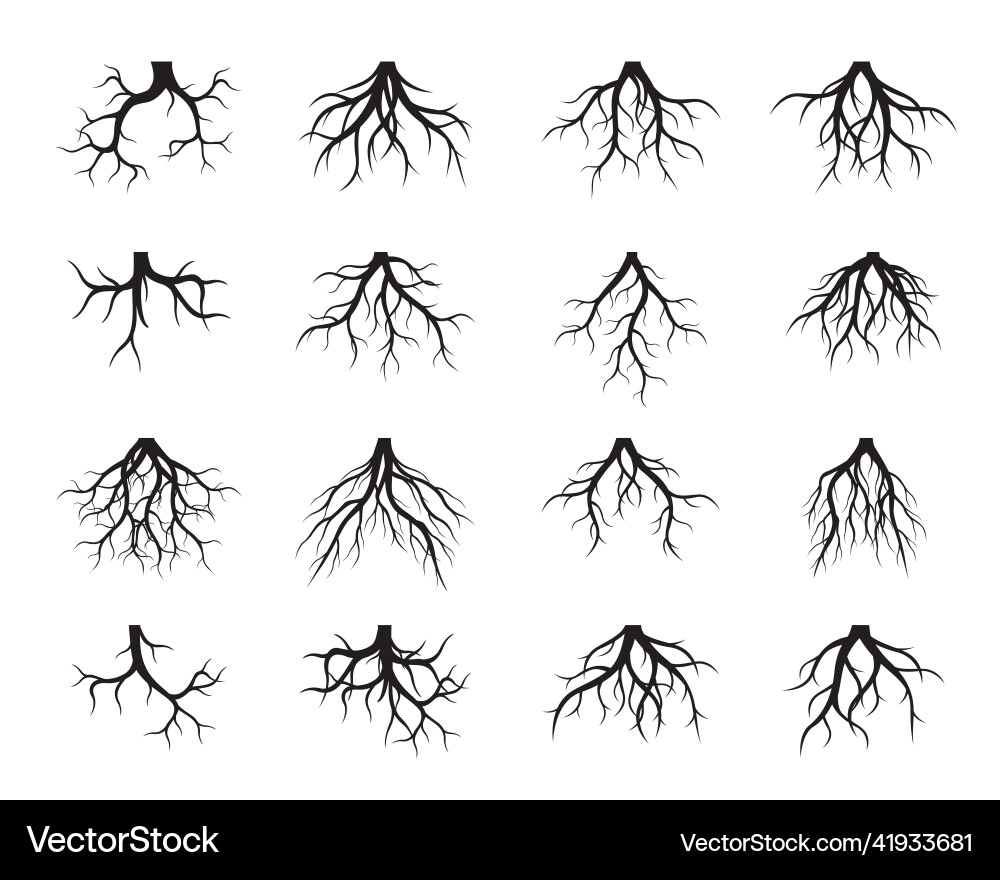 Set of black tree roots outline Royalty Free Vector Image