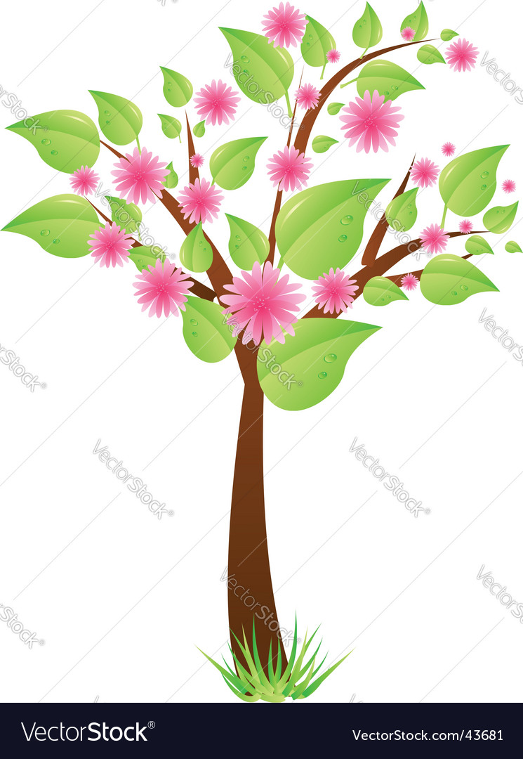 Spring tree Royalty Free Vector Image - VectorStock