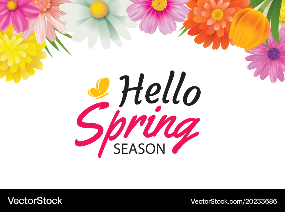 Hello spring season greeting card with colorful Vector Image