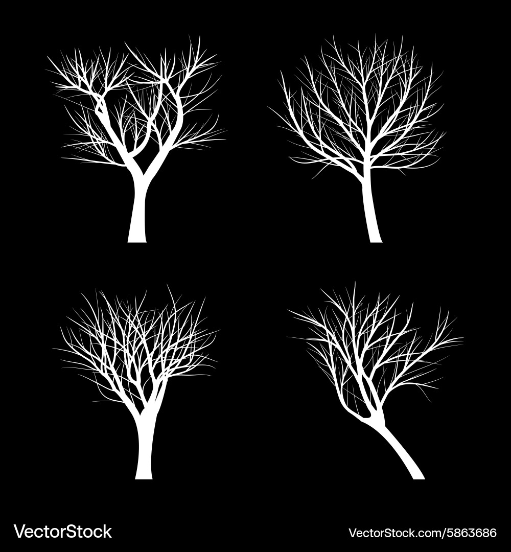 Trees with dead branch Royalty Free Vector Image