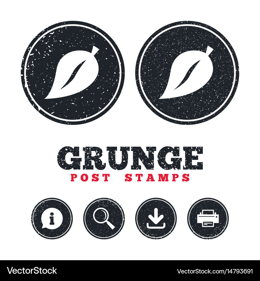 Leaf sign icon fresh product symbol Royalty Free Vector