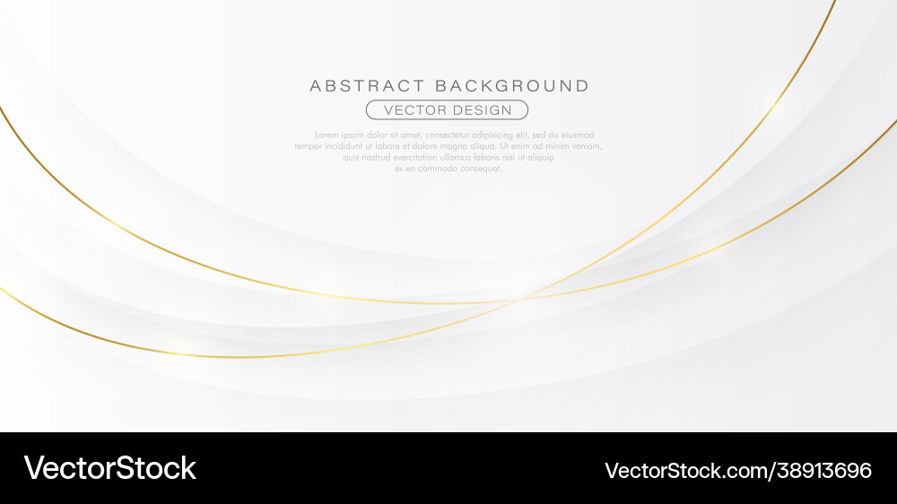 Abstract white background luxury with gold line Vector Image