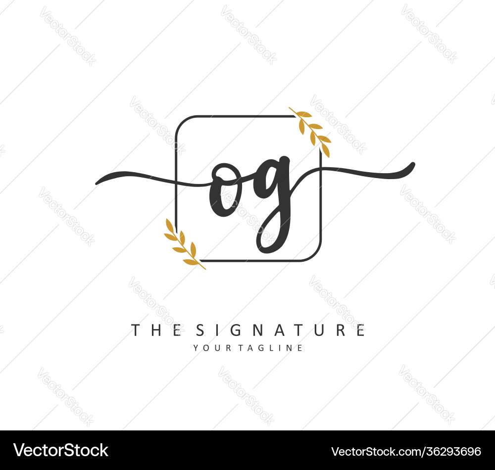 Og initial letter handwriting and signature logo Vector Image