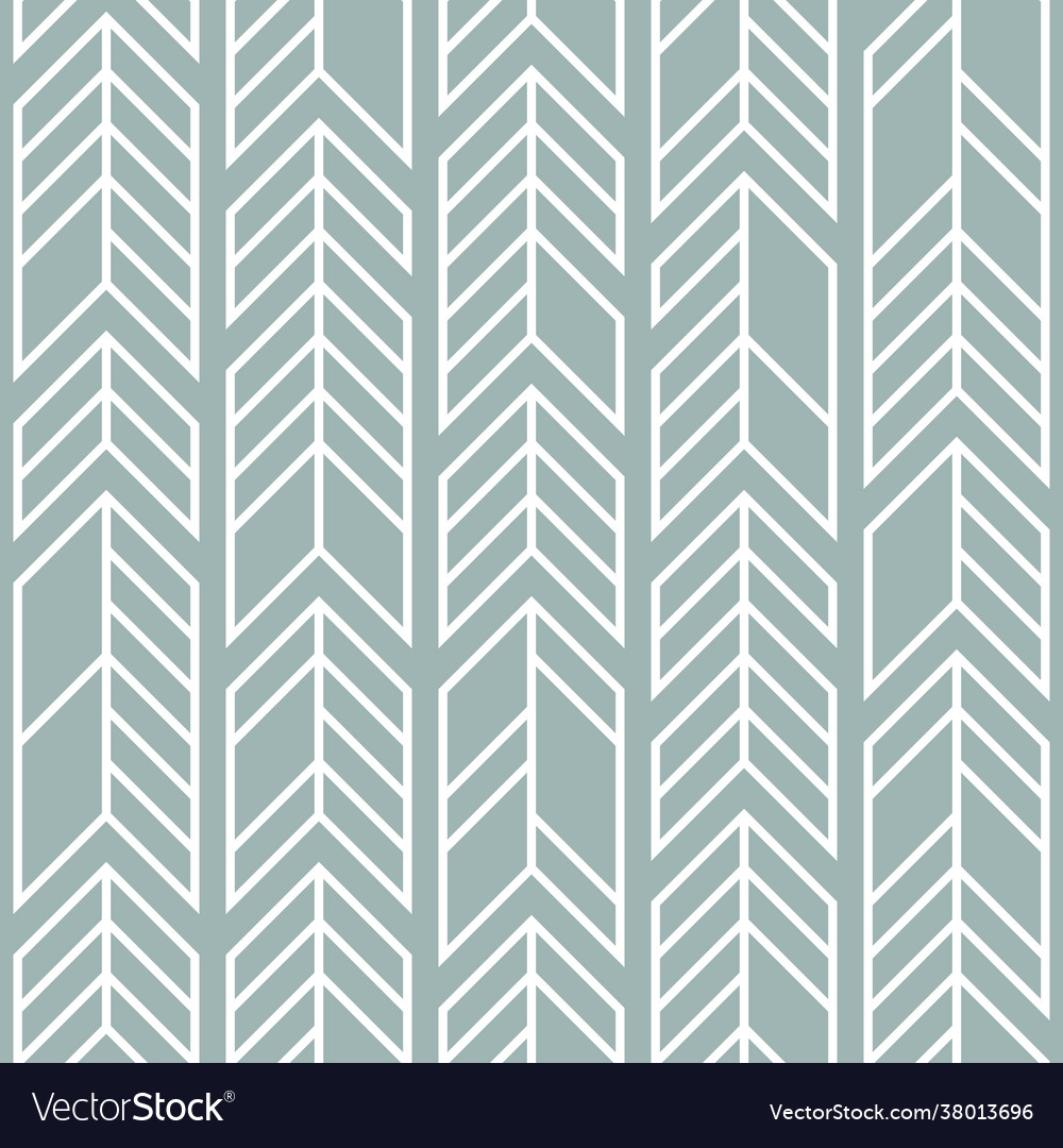 Seamless geometry chevron pattern zigzag Vector Image