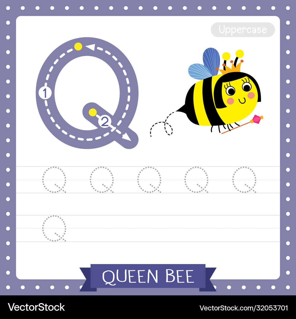 Letter q uppercase tracing practice worksheet of Vector Image
