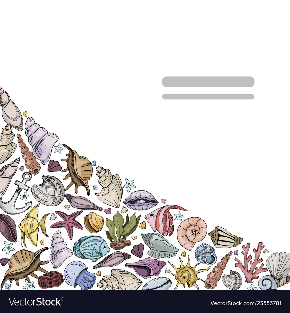 Seashells set Royalty Free Vector Image - VectorStock