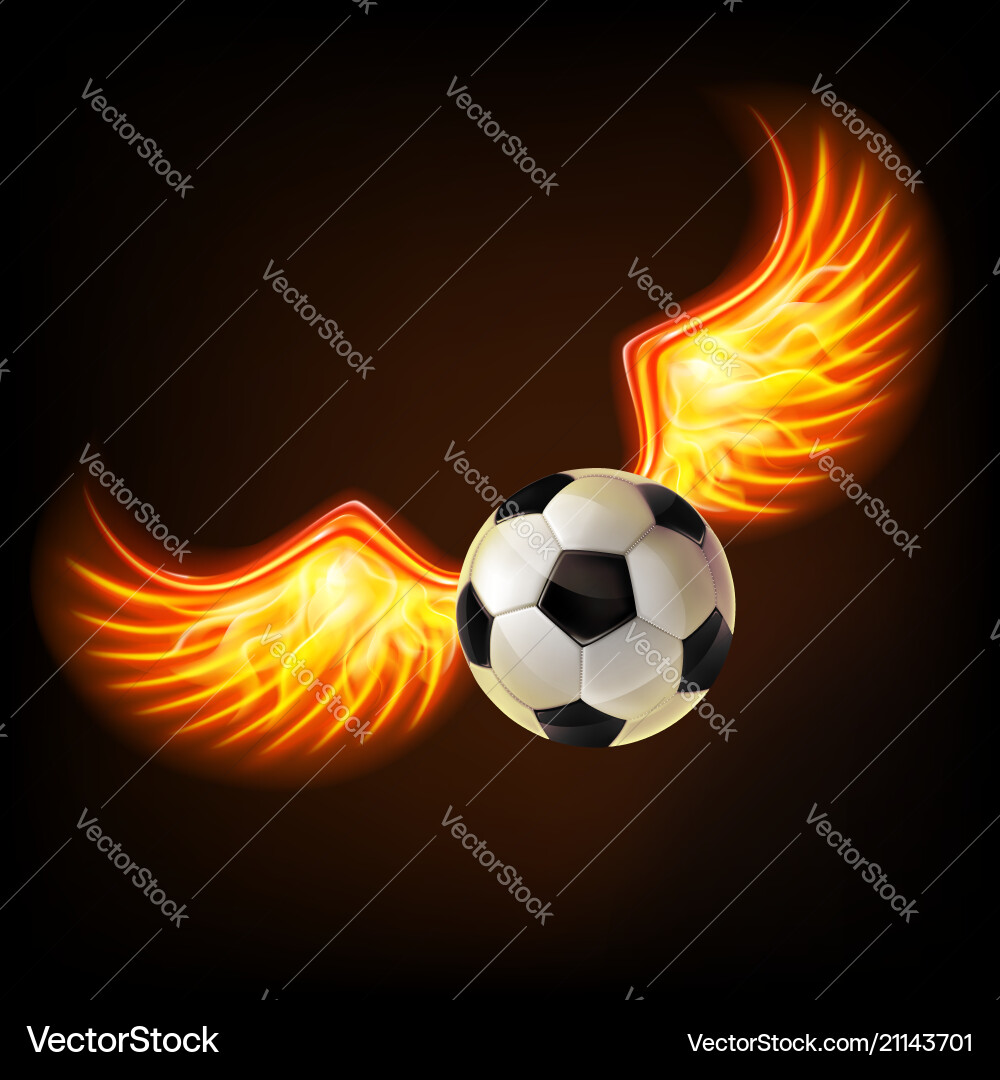 Soccer ball Royalty Free Vector Image - VectorStock