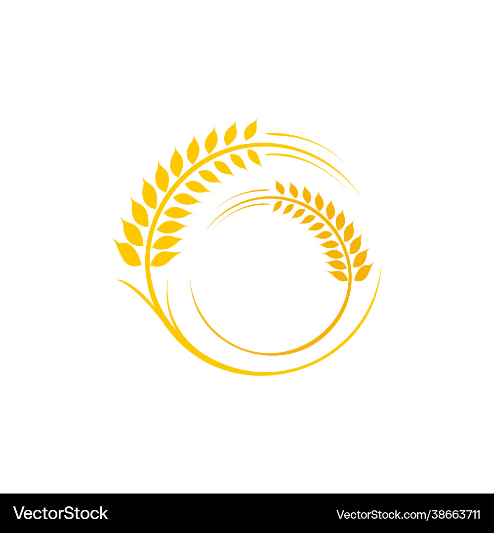 Agriculture wheat rice icon design Royalty Free Vector Image