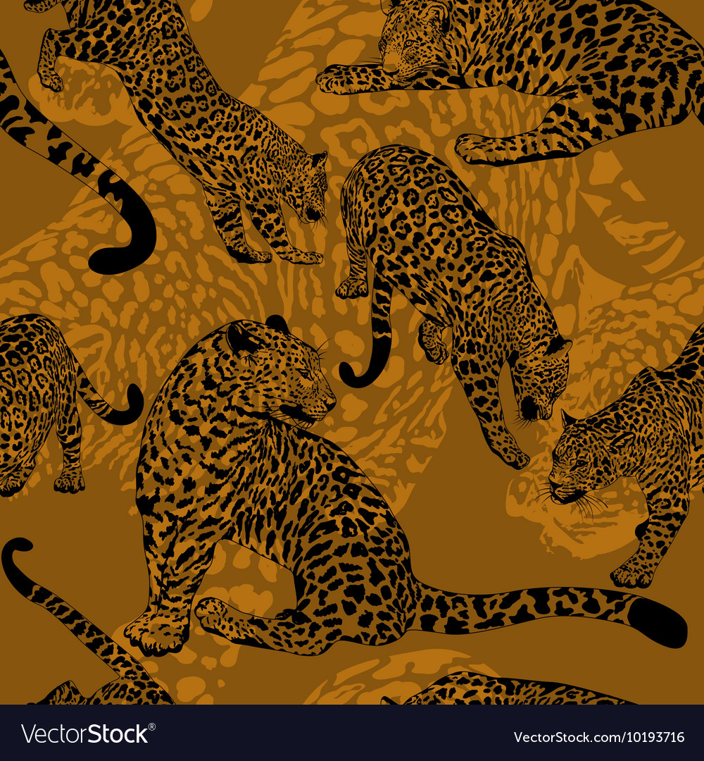 Pattern with wild leopard Royalty Free Vector Image