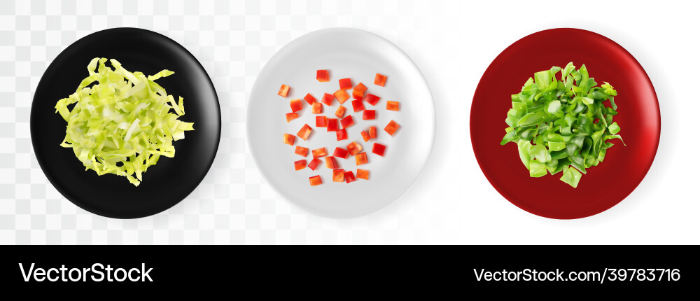 Red black and white pasta plates with chopped Vector Image