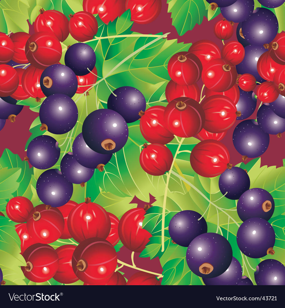 Berry fruit background Royalty Free Vector Image