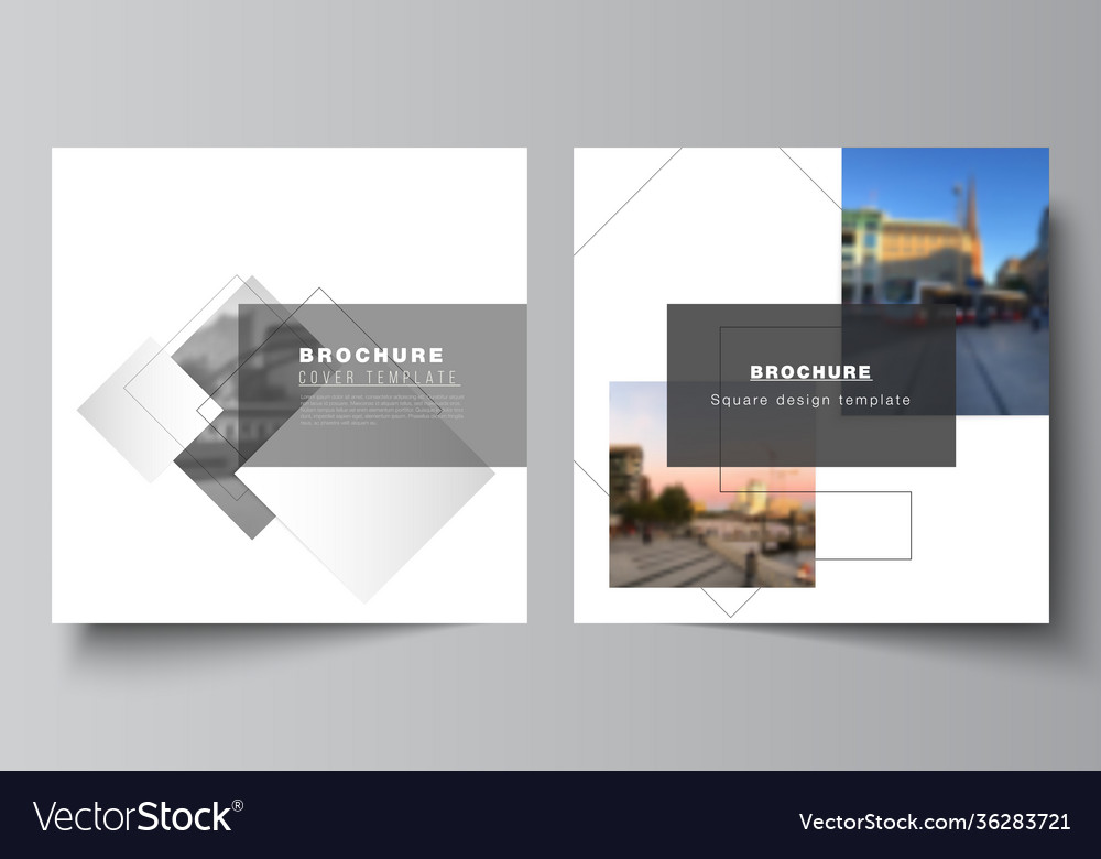 Layout two square format covers design Royalty Free Vector