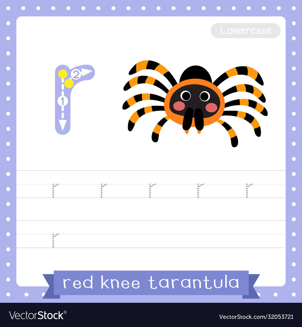 Letter r lowercase tracing practice worksheet Vector Image