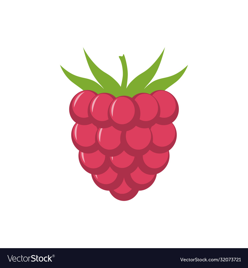 Raspberry with leaf icon Royalty Free Vector Image