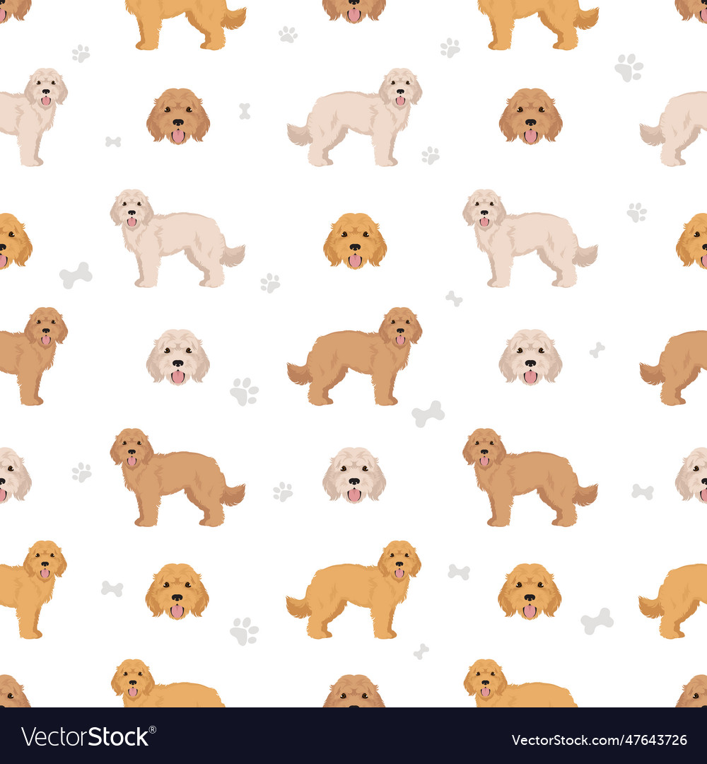 Cockapoo seamless pattern different poses coat Vector Image