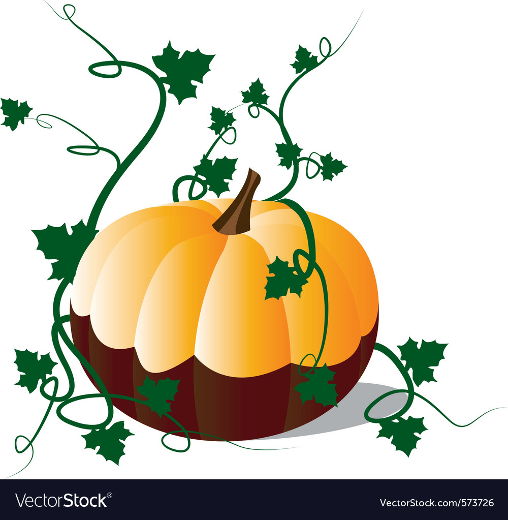 Pumpkin Royalty Free Vector Image - VectorStock
