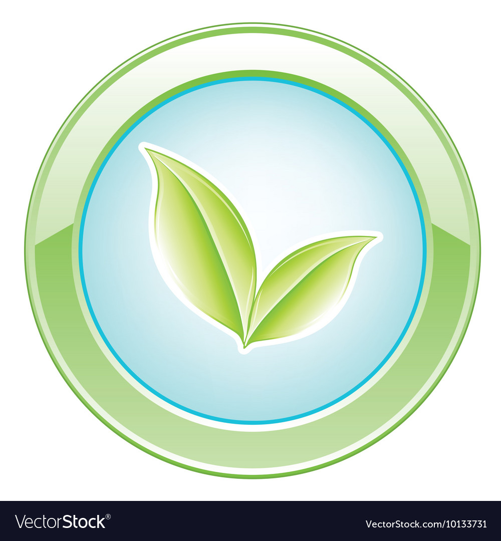 Glossy button Royalty Free Vector Image - VectorStock